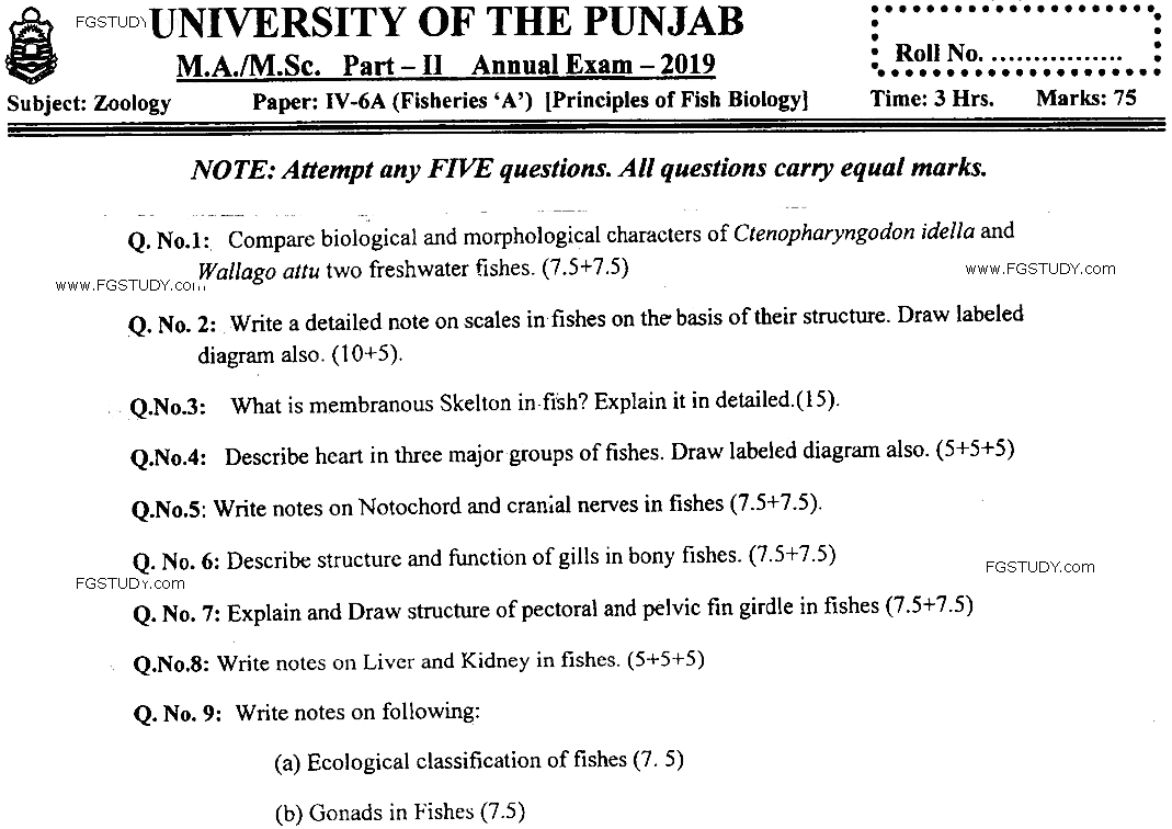 MSc Part 2 Zoology Principles Of Fish Biology Past Paper 2019 Punjab ...